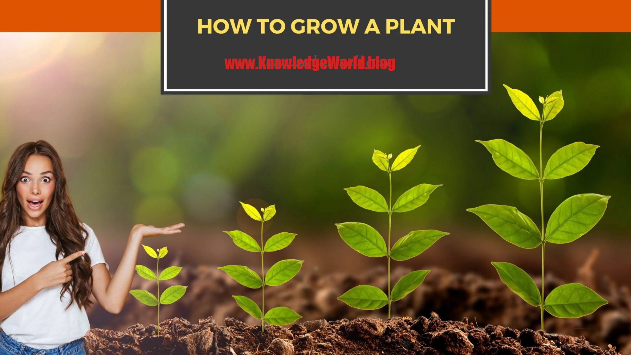 How To Grow Plant Faster 2025 Cutting, From Seed, Clippings, In Water